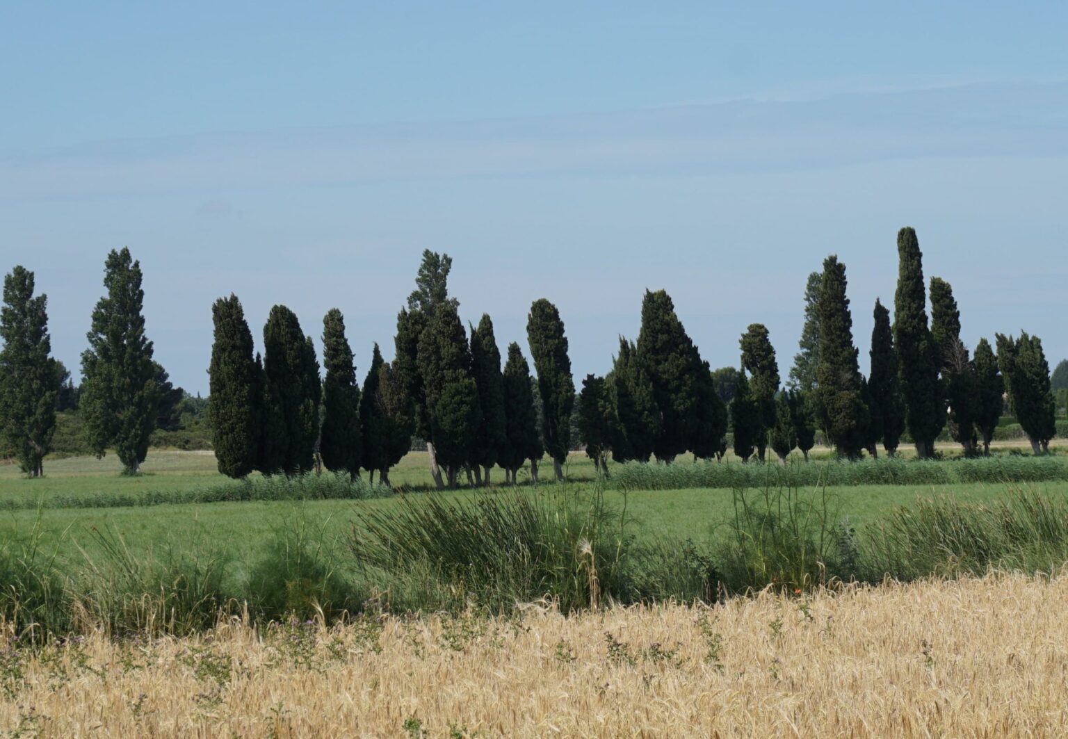 Accueil - Volubilis
